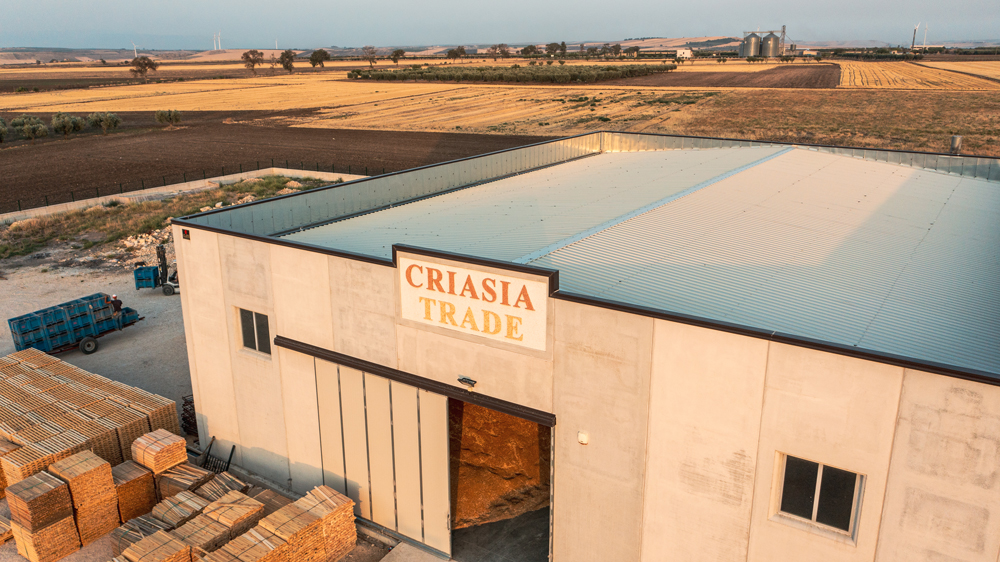 Criasia Triade srl - Clesi